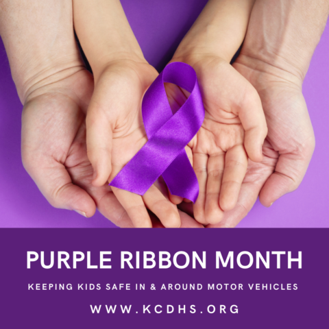 Purple Ribbon Month | Kern County Hispanic Chamber of Commerce